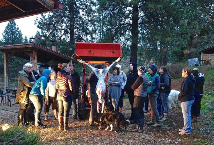 Bringing together women working in the meat industry | Food ...