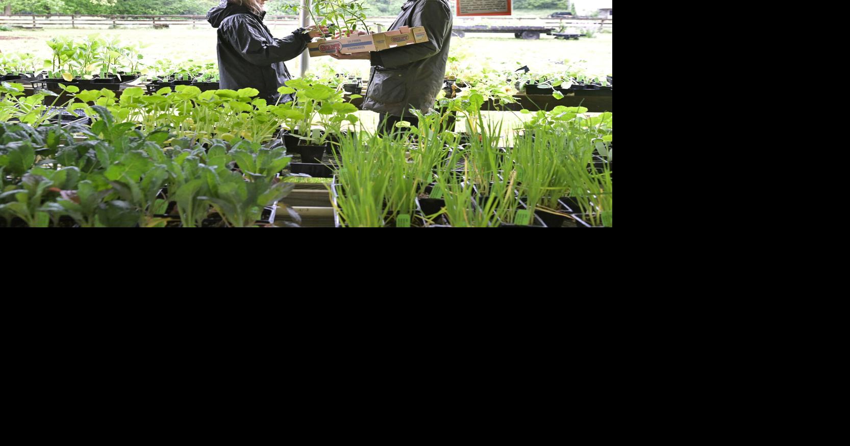 Lancaster County 2025 plant sales and plant swaps | Home & Garden ...