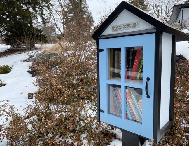 How Little Free Libraries have helped neighbors stay connected during ...