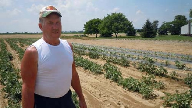 Strasburg Farmers Market gets a fresh start | Lifestyle ...