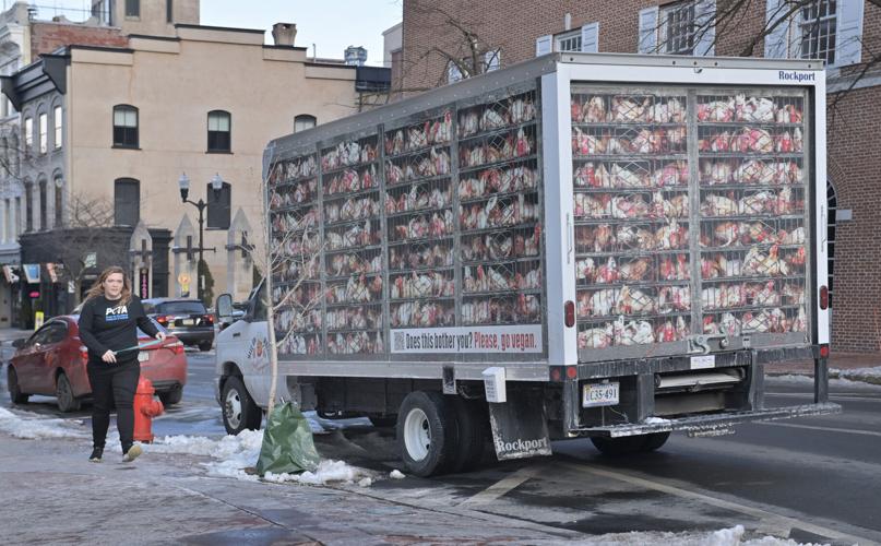 PETA's 'Hell on Wheels' chicken truck comes to Lancaster Central Market ...