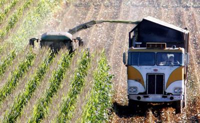 Standing up for genetically modified foods | Life & Culture ...