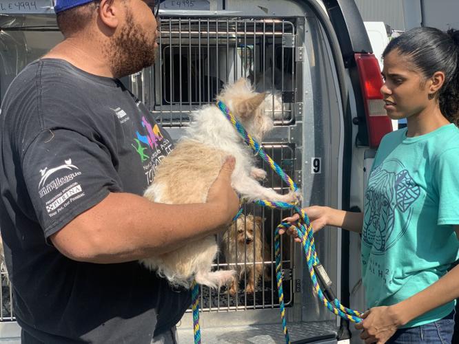 Pennsylvania SPCA rescues 100 animals from property in Quarryville ...