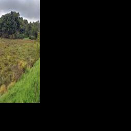 Municipalities blame Speedwell Forge Dam for clogging creeks | News ...