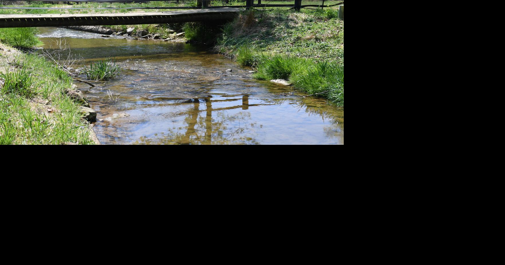 Community groups gain nearly $65,000 for clean water projects | Local ...