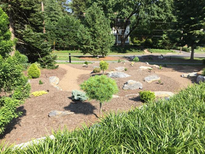 Tour Lancaster's arboretum and find trees that are rare, big and teeny ...