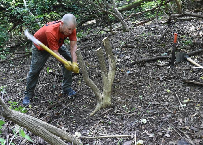Bike Park [photos] | | lancasteronline.com