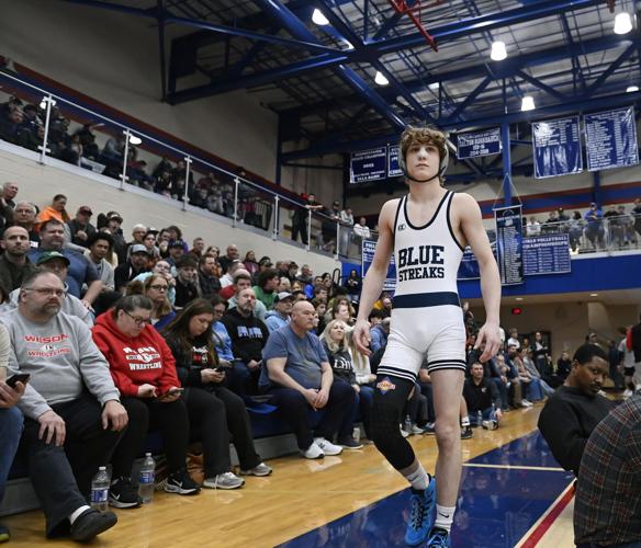 District 3 Class 3A South Central regional wrestling championships ...