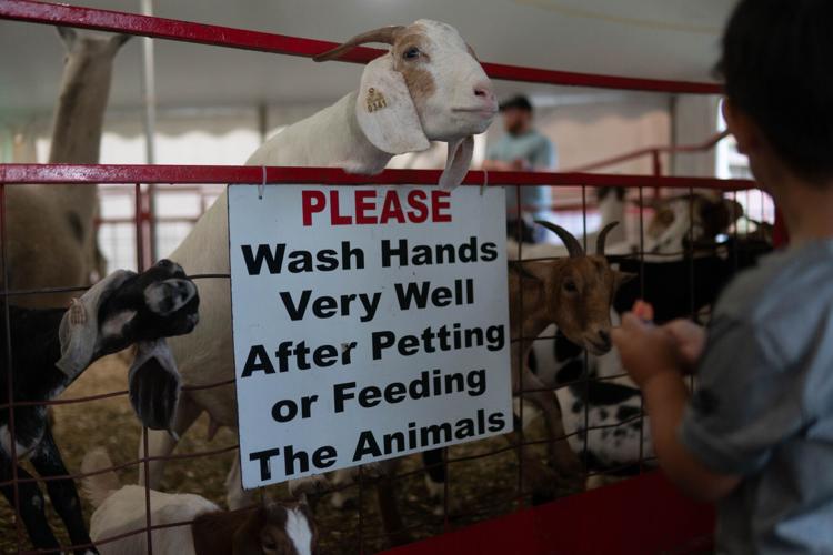 Denver Fair returns for the 2023 fair season in Lancaster County ...