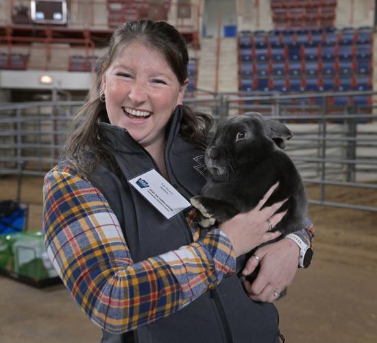 PA Farm Show rabbit committee co-chair Lia Swartz [photos ...