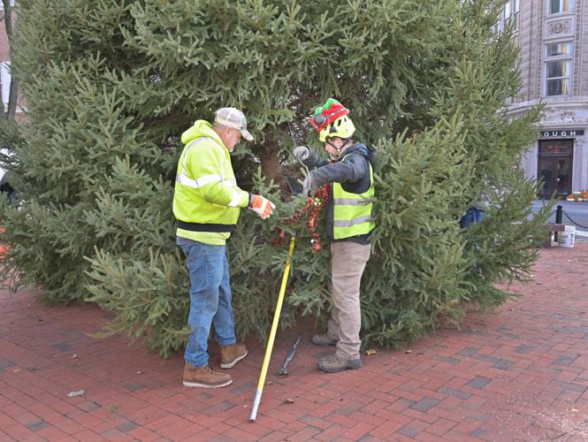Lancaster city's 2025 Christmas tree arrives in Penn Square [photos ...