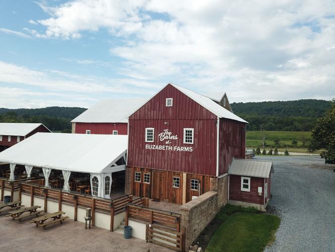 Farmland Trust offering one-day Farm Festival at Elizabeth Farms near ...