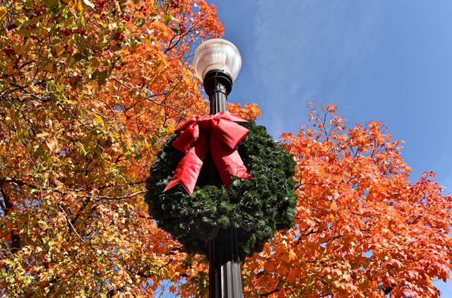 quicksand sinking hunter root