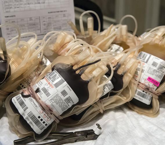 Bleed Blue Blood Donor Challenge [photos] | News | lancasteronline.com