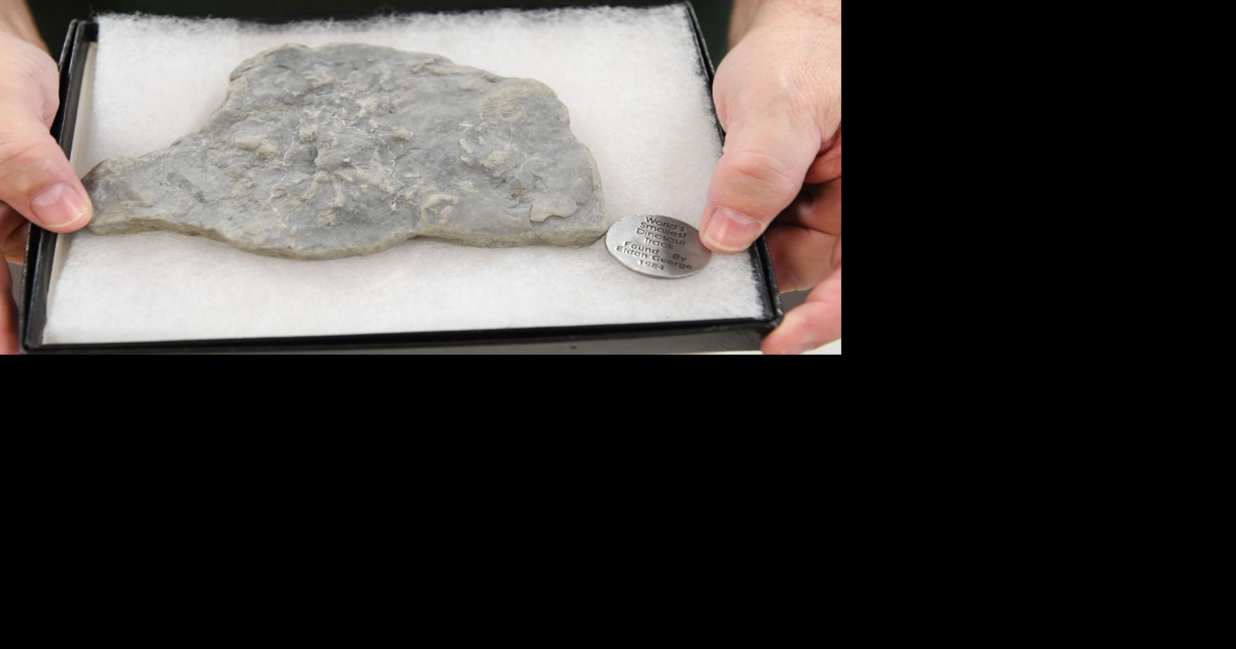 Chris Haefner and his fossil [photos] | | lancasteronline.com