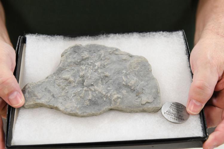 Chris Haefner and his fossil [photos] | | lancasteronline.com