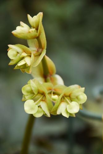 Meet the award-winning Lancaster County grower going to the ...