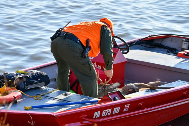 Firefighters rescue hunter, 16, from Susquehanna River after kayak ...