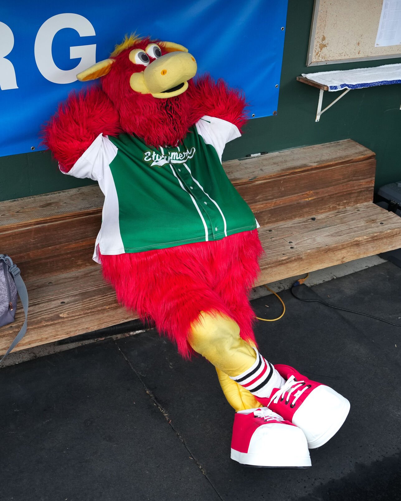 Here's what it's like to spend a night as Lancaster Stormers mascot ...