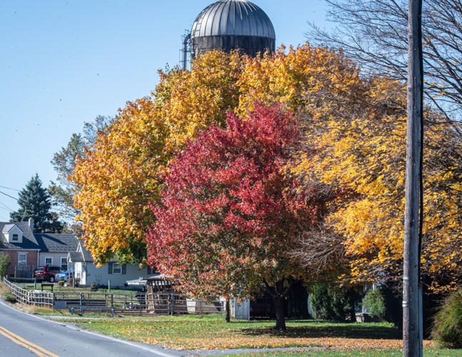 Fall foliage around Lancaster County as October comes to an end [photos] | Local News ...