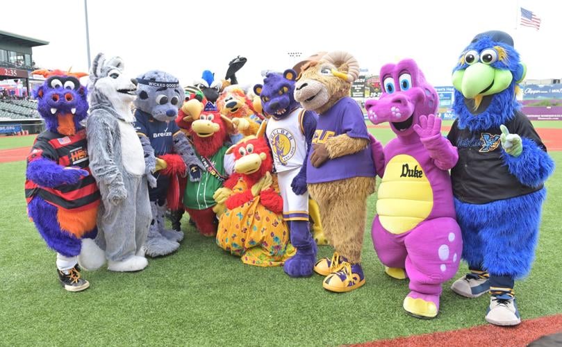 After training at camp, mascots show their stuff at Stormers game ...