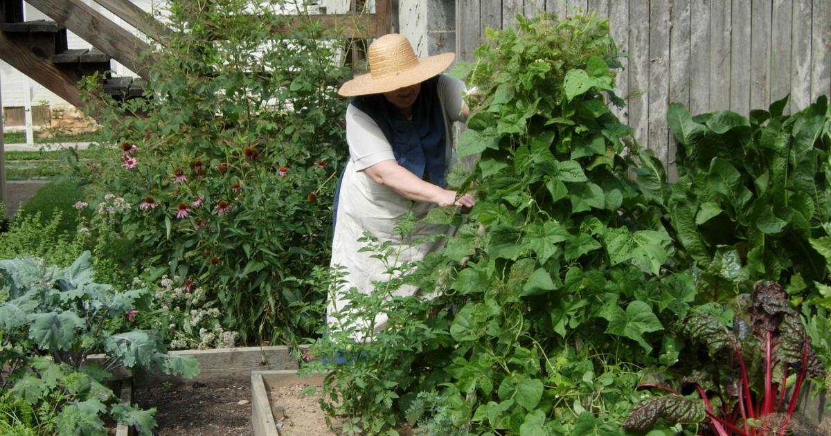 7 Free Things To Do This Weekend In Lancaster County Local News