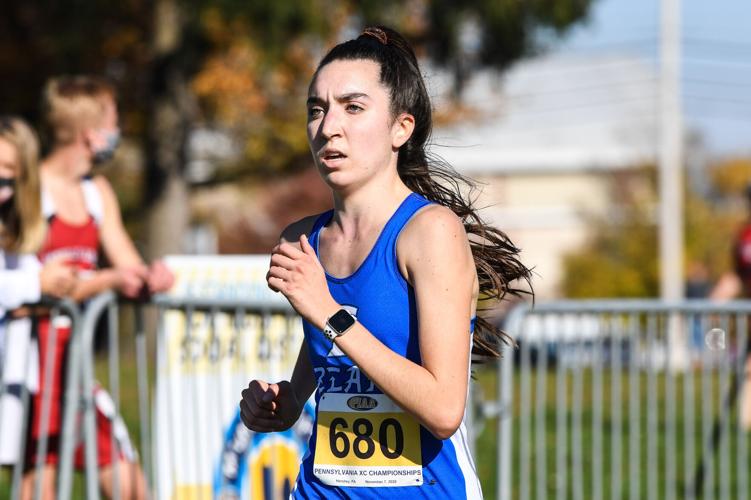 PIAA cross country championship races [photos] | Sports ...