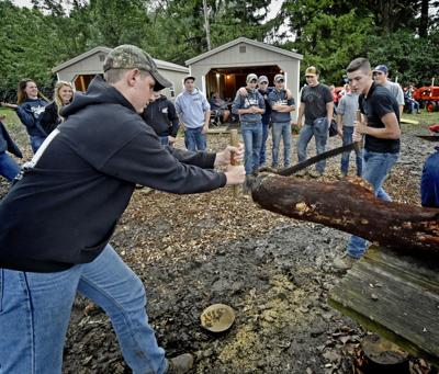 This week brings 2 fairs to Lancaster County; here's your guide to ...