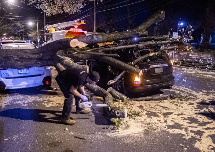 Fallen tree damages cars in Lancaster city | Local News ...