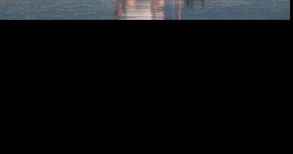 Are bowfishers discarding fish to rot and foul riverbanks near Columbia ...