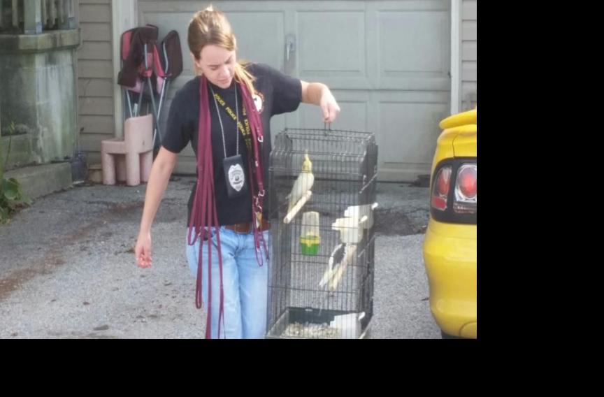 Quarryville hoarder faces 22 charges of animal cruelty | Local News ...