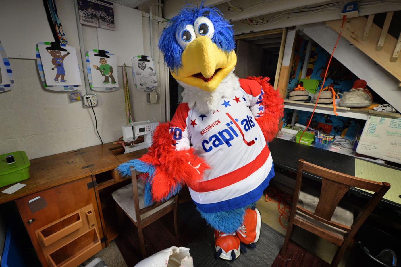 All you want to know about Lancaster mascots | Life & Culture ...