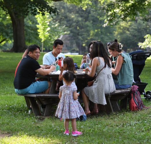 Lancaster AAPI hosts annual potluck at Buchanan Park [photos] | Local ...