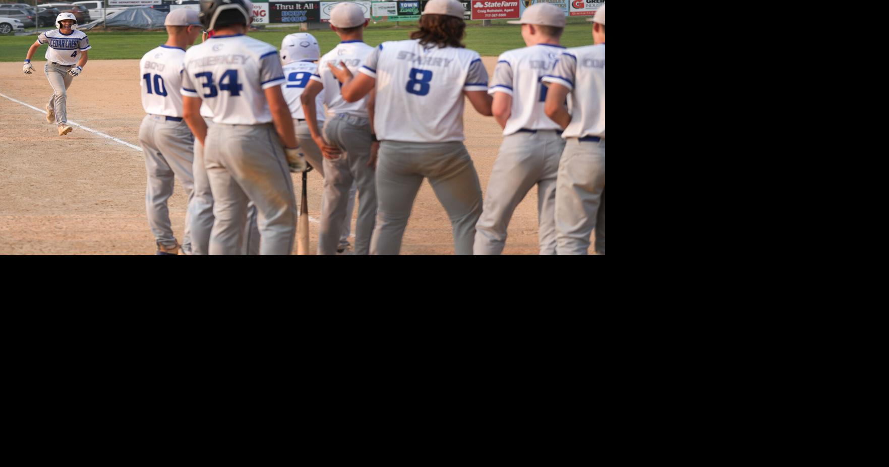 Cedar Crest vs. CV Bucks - LNP Tournament 14U game [photos] | Baseball ...