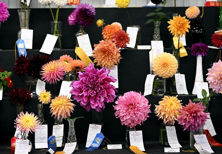 71st Manheim Community Farm Show gets underway with annual parade ...