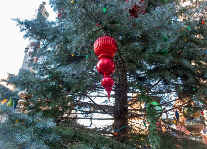 LEADS decorates this year's Lancaster holiday tree [photos ...