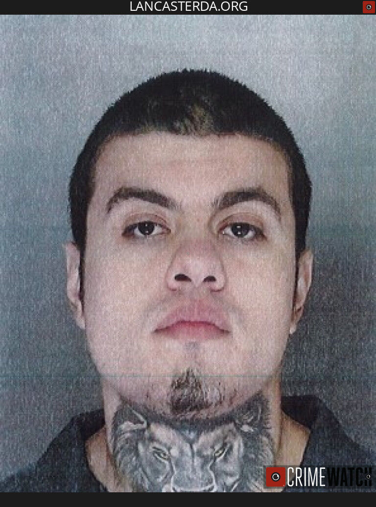 Lancaster Township man pleads guilty to more than 200 thefts ...