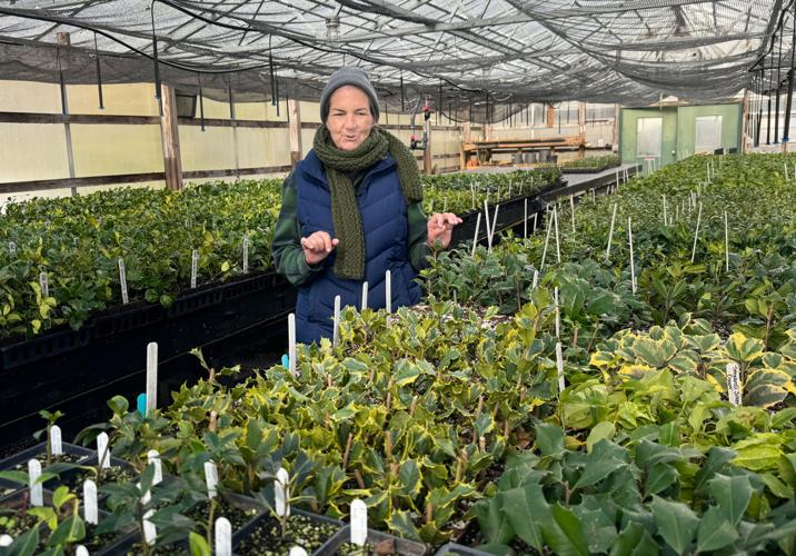 Sue Hunter of Heartwood Nursery [photos] | | lancasteronline.com