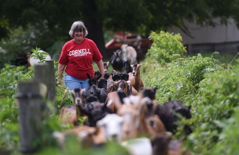 How 3 Lancaster County family business owners are turning over the ...