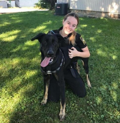 Lancaster County Animal Coalition disbands after losing cruelty officer ...