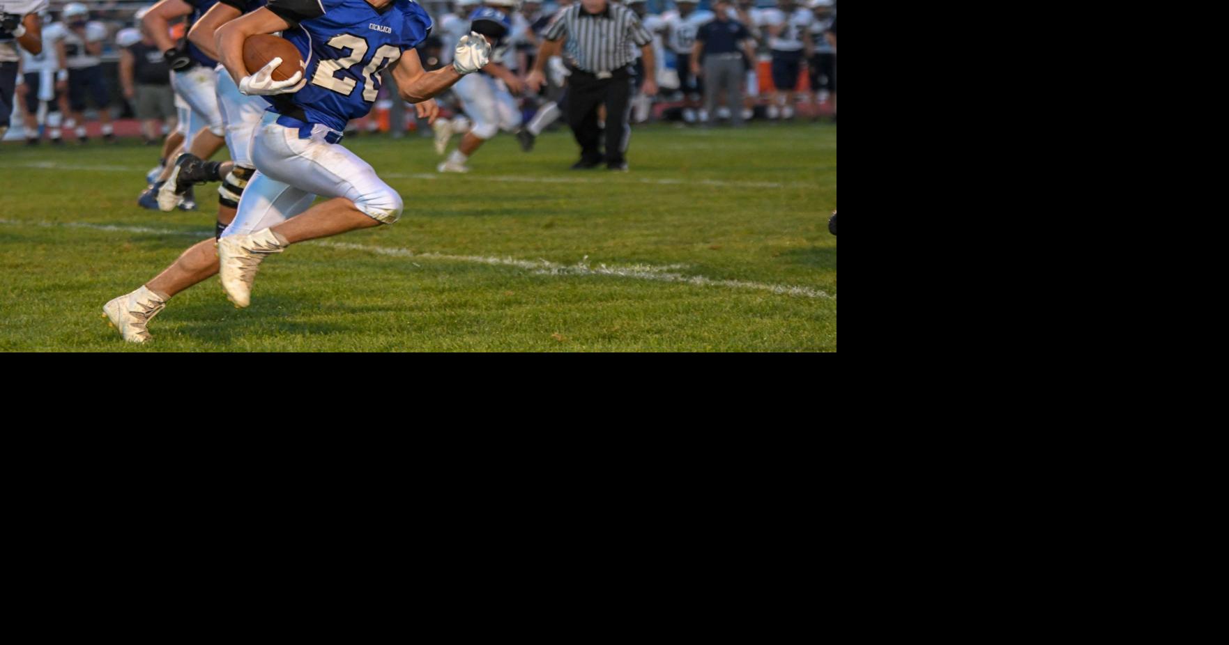 Palm-Longenecker connection sparks Cocalico to comeback win | High ...