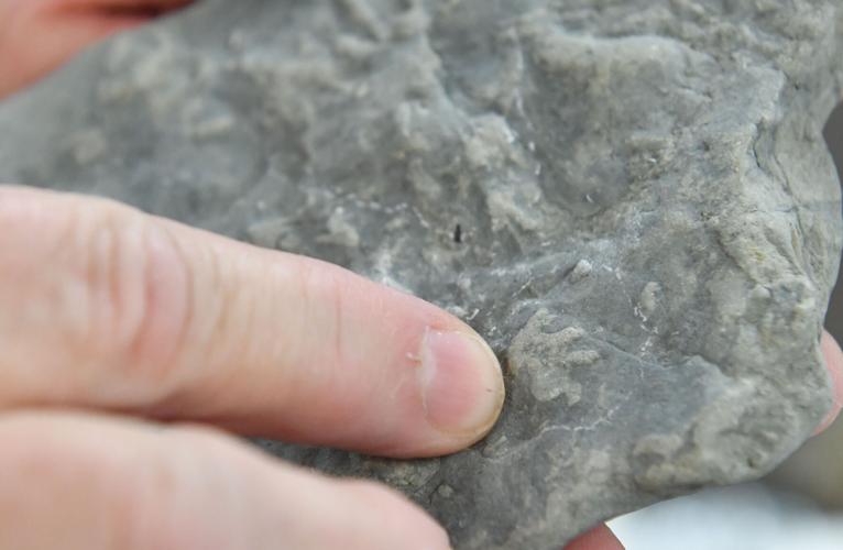 Chris Haefner and his fossil [photos] | | lancasteronline.com