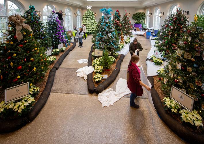 Take a look at this year's Hershey Gardens’ Christmas Tree Showcase ...