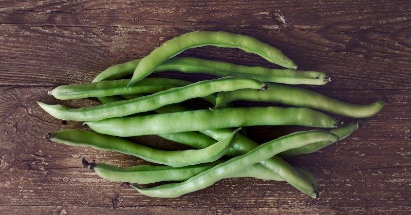 How to preserve green beans and prevent spoilage | Food ...