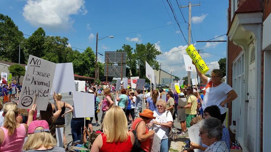 Protesters call for SPCA director's resignation as ailing puppy Libre ...