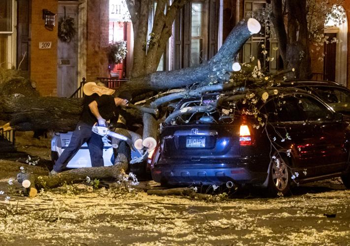 Fallen tree damages cars in Lancaster city | Local News ...