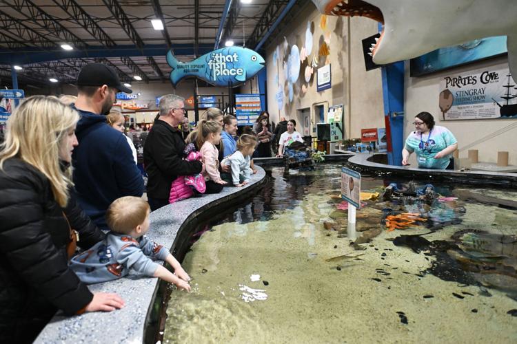 Showing pets of all kinds love at That Fish Place - That Pet Place in ...