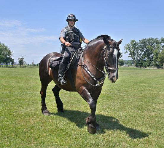 Angus trains for work on the streets of Lancaster city [photos ...