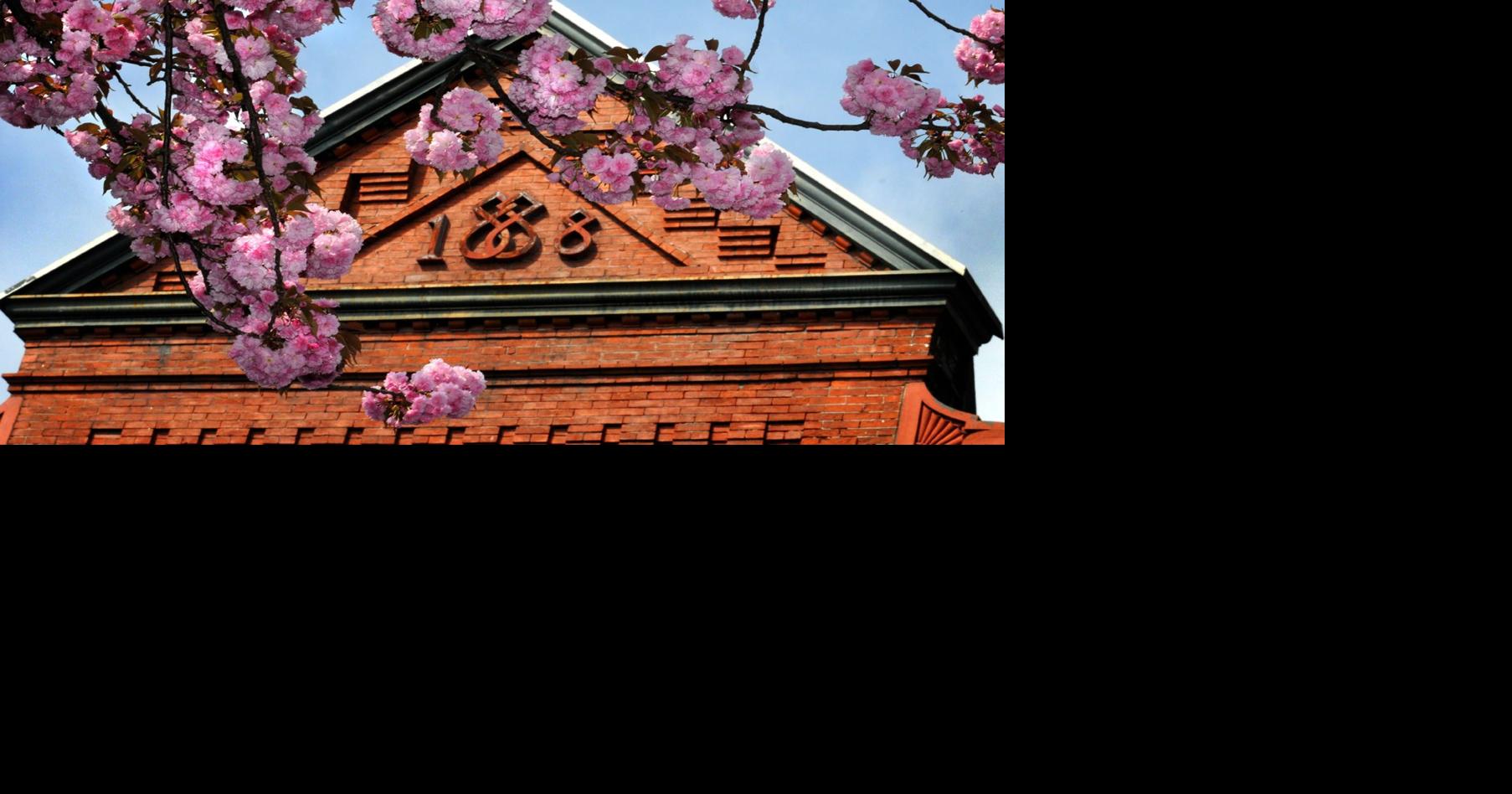 Best things to do in Lancaster County if you visit in the spring | Life ...