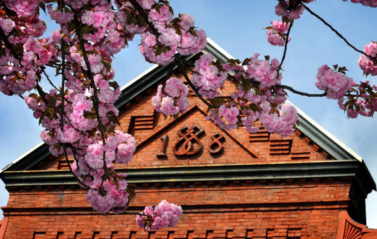 Best things to do in Lancaster County if you visit in the spring | Life ...